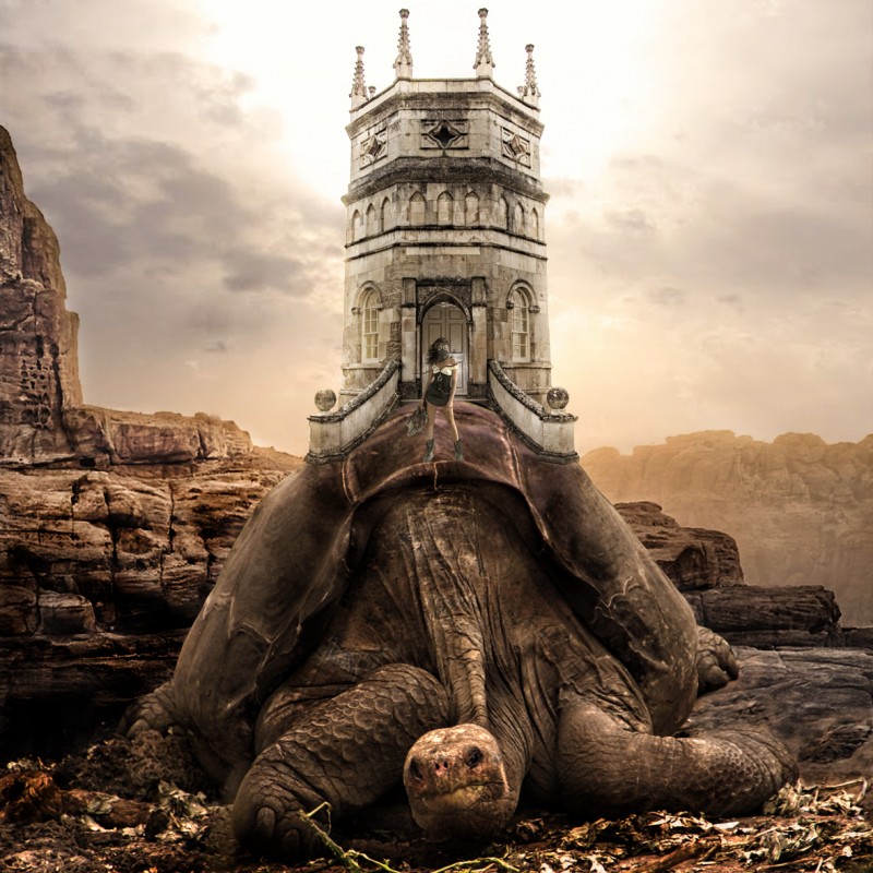 Silvio Bertonati - Turtle Castle